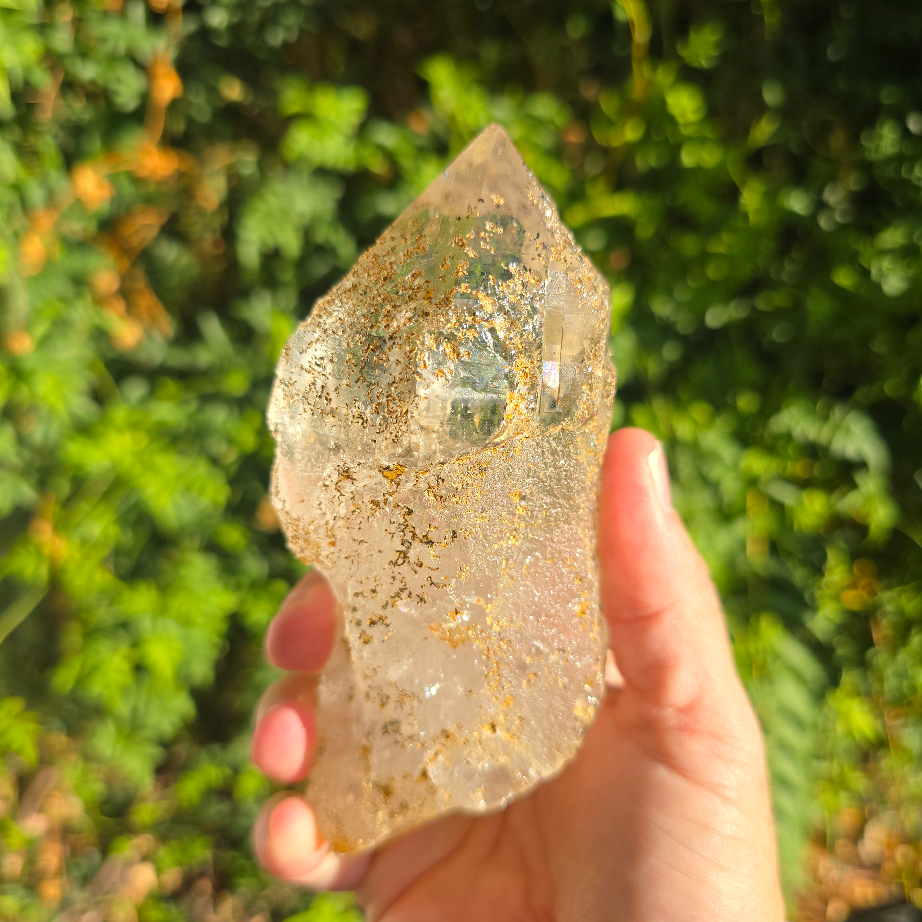 Mondo Quartz Tanzania – Joshua Tree Vibes